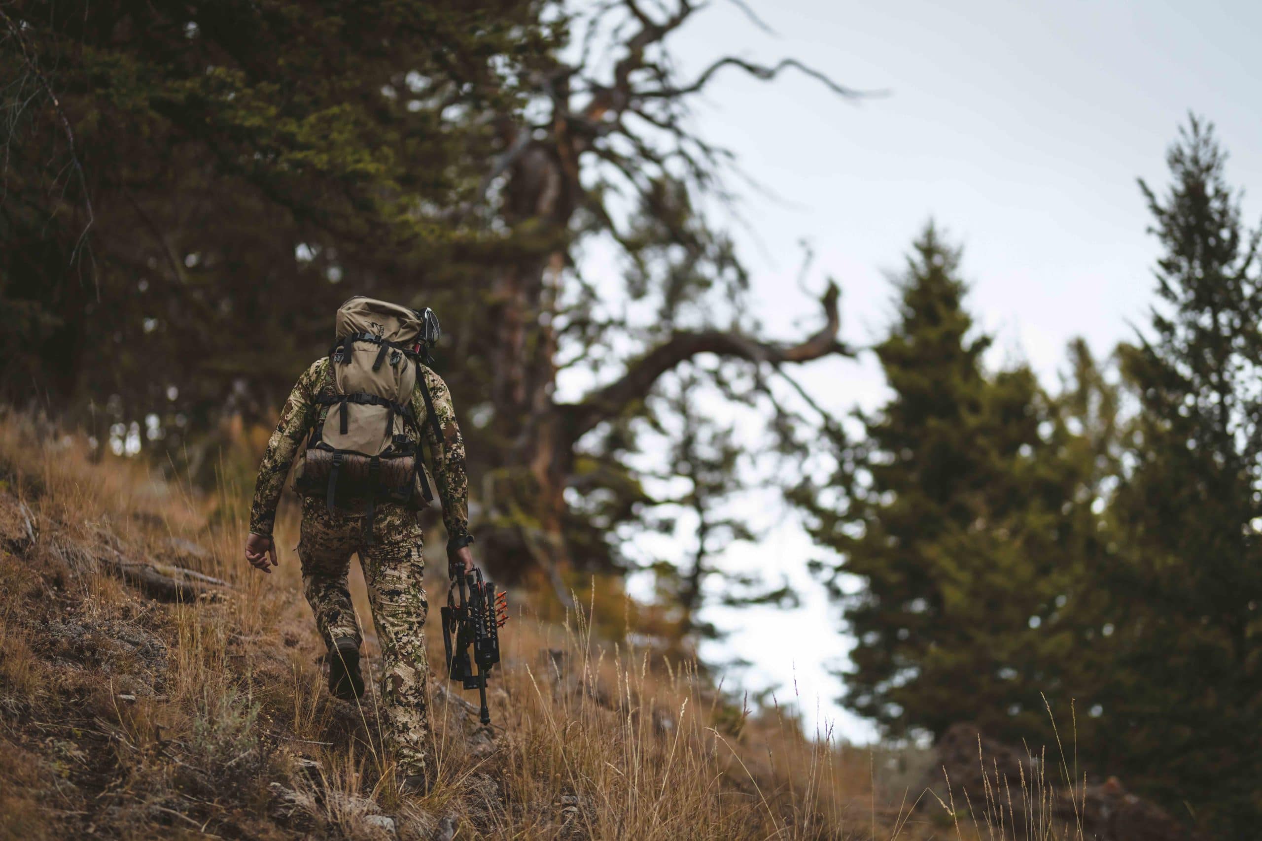 LAST MINUTE GUIDE TO GETTING INTO "ELK SHAPE" – Mathews Archery