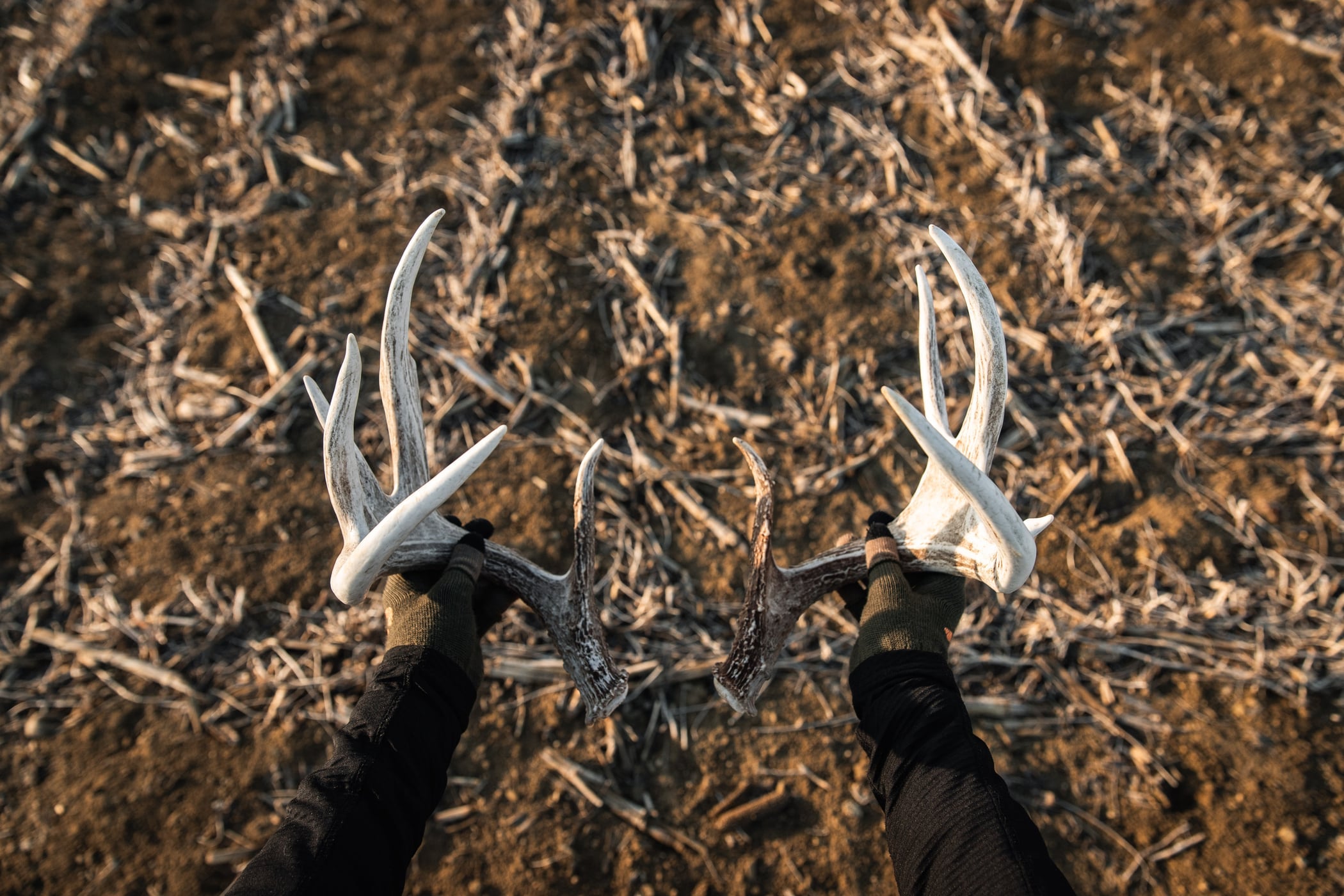 6 REASONS TO TAKE A SHEDCATION – Mathews Archery