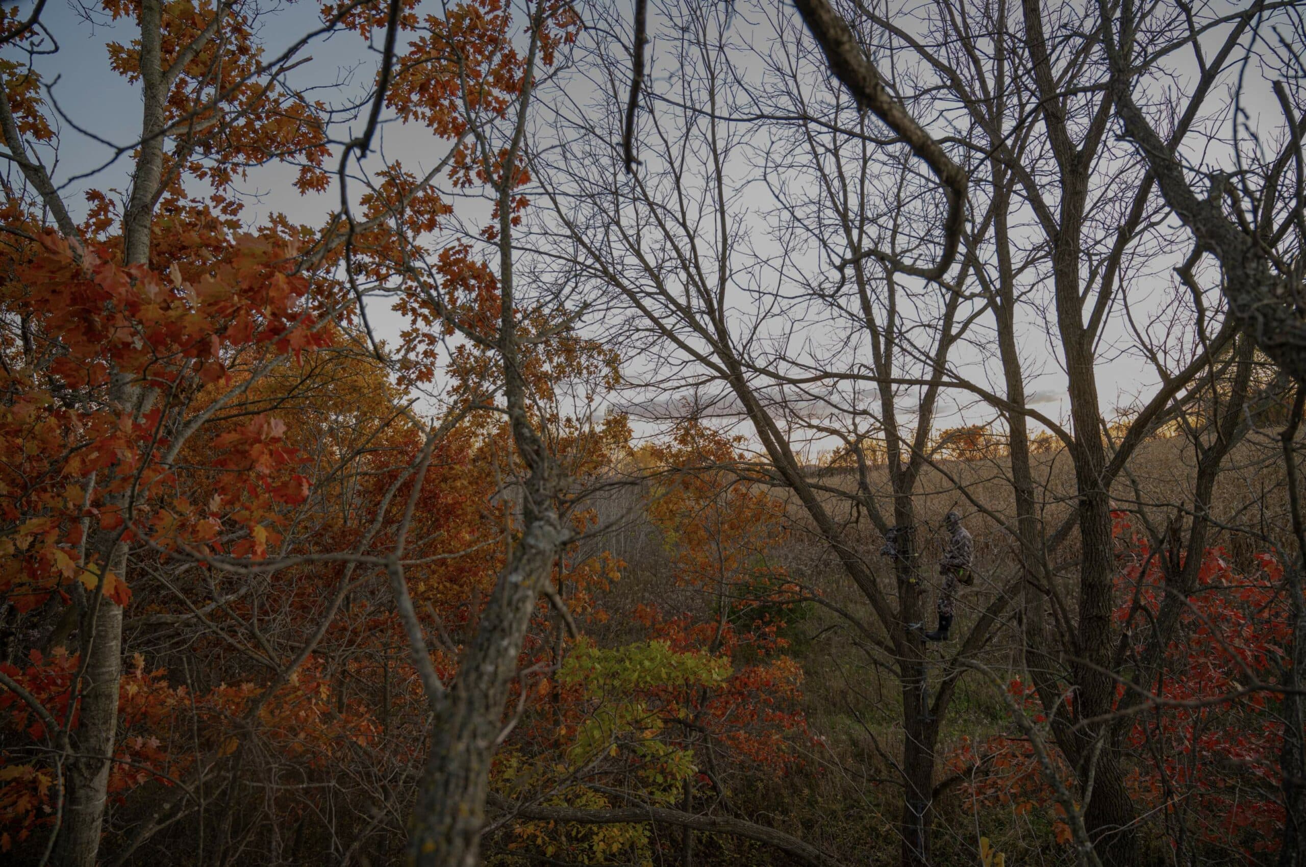 FALL FOCUSED – Mathews Archery