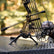 Engage ARC Limb Legs® – Mathews Archery