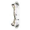 ARC™ 30 – Mathews Archery